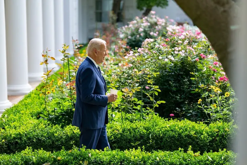 Biden Fades as Harris Takes Lead, Administration Ducks Key Issues ...