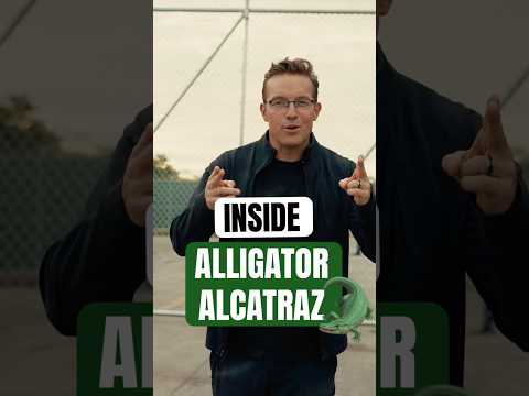 Surviving Alligator Alcatraz: Inside America's Deadliest Prison ...