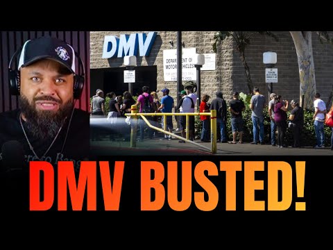Whistleblower DMV Employee Ousted for Revealing Illegal License Scheme ...